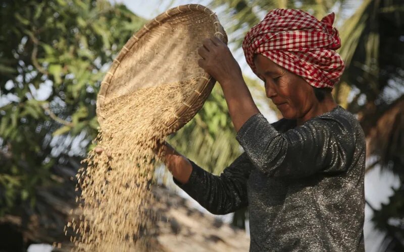 Post Harvest Management
